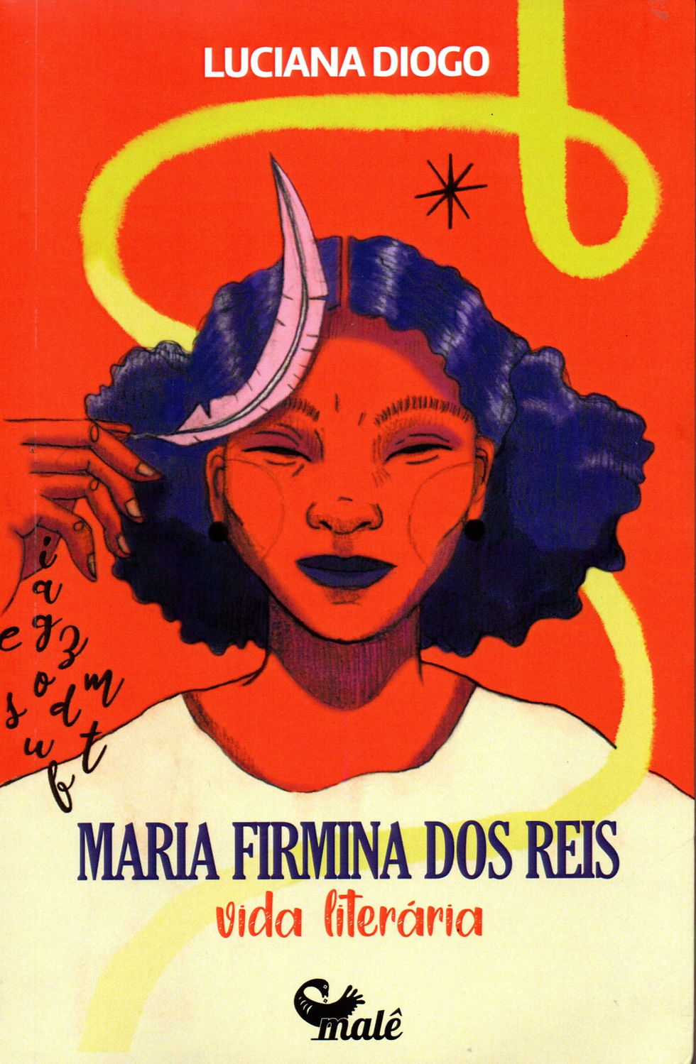 Maria Firmina dos Reis: vida literária - Luciana Diogo | AMEI Livraria