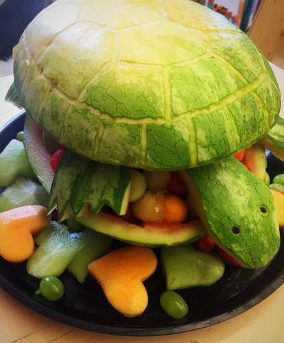 watermelon turtle