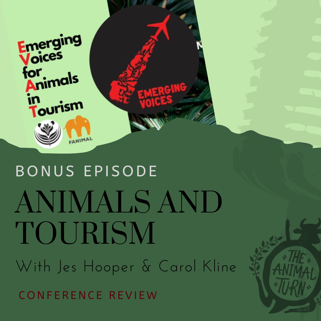 Bonus: Animals and Tourism with Carol Kline and Jes Hooper