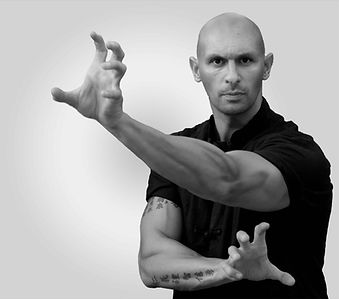 L'Histoire du Pak Mei Kung Fu | Jianghu Martial Scholars