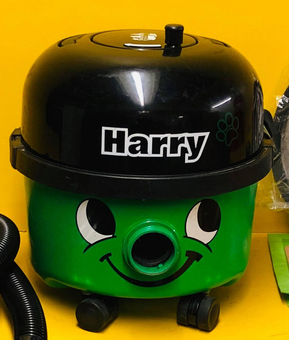 Numatic Harry Hoover Green 1400w Single Speed Canister Vacuum Cleaner ...