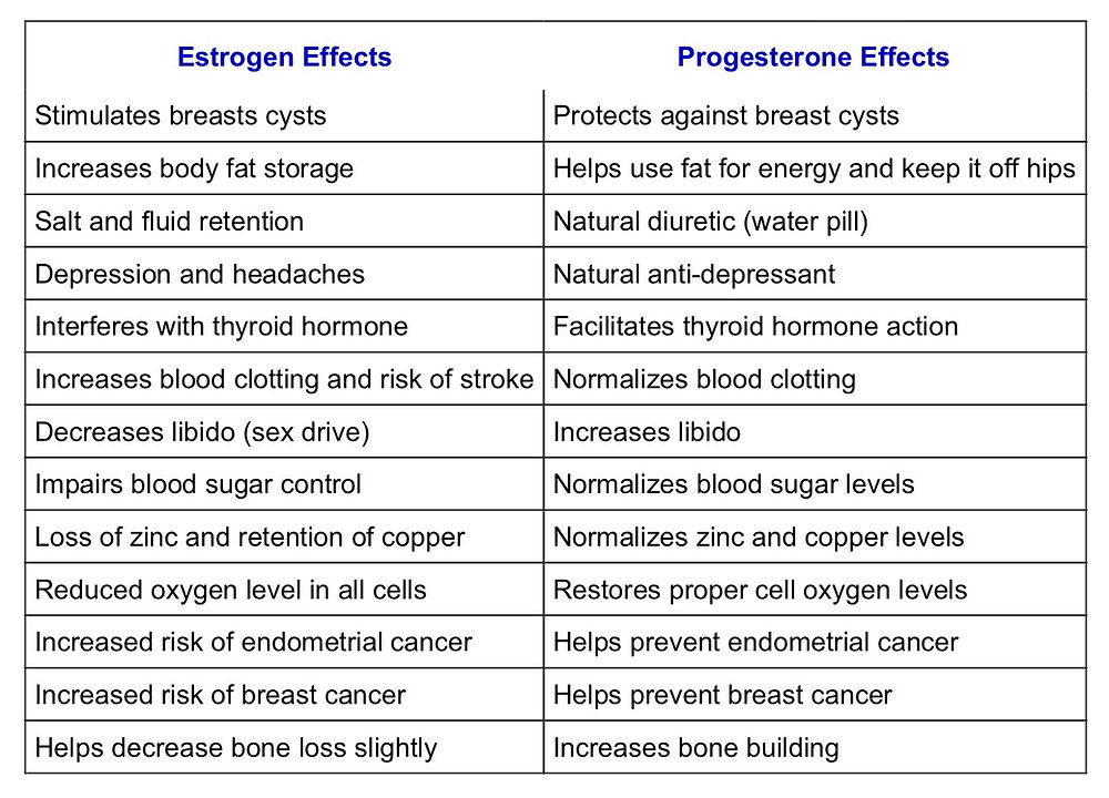 Estrogen vs Progesterone