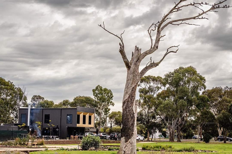 Tours : Gargarro Botanic Garden : Girgarre Victoria