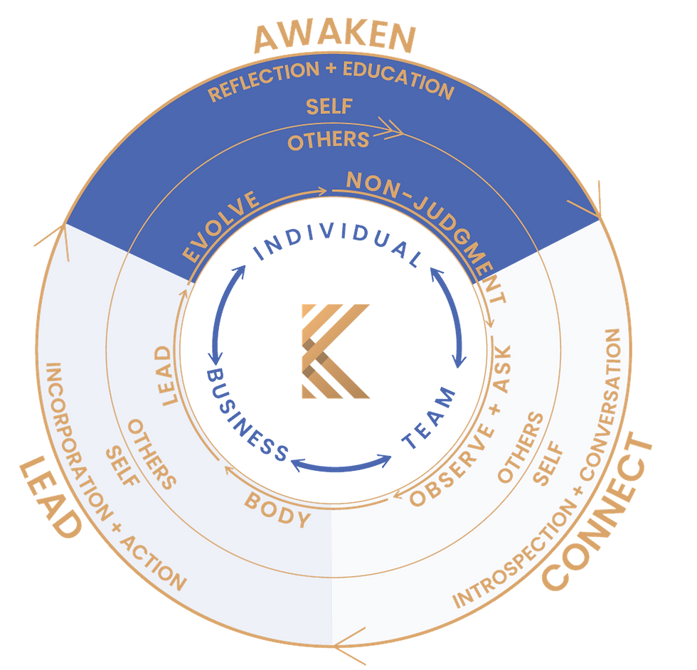 Leadership Excellence with the NOBLE Framework