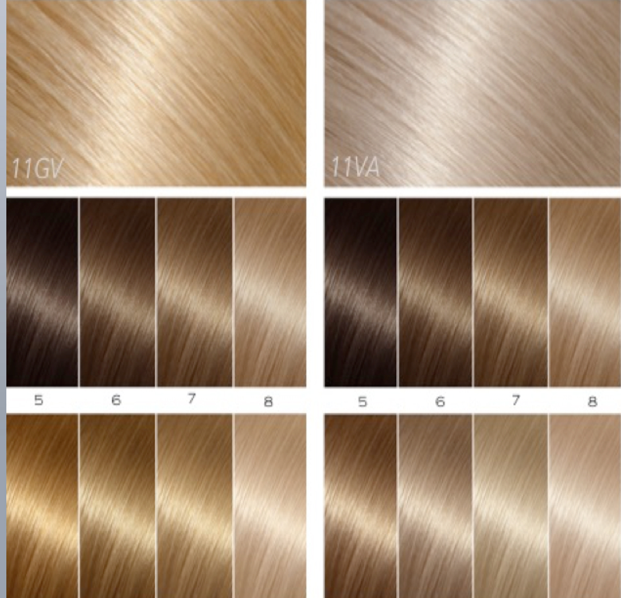 Beauty Development Partners | Colour Collective | United States