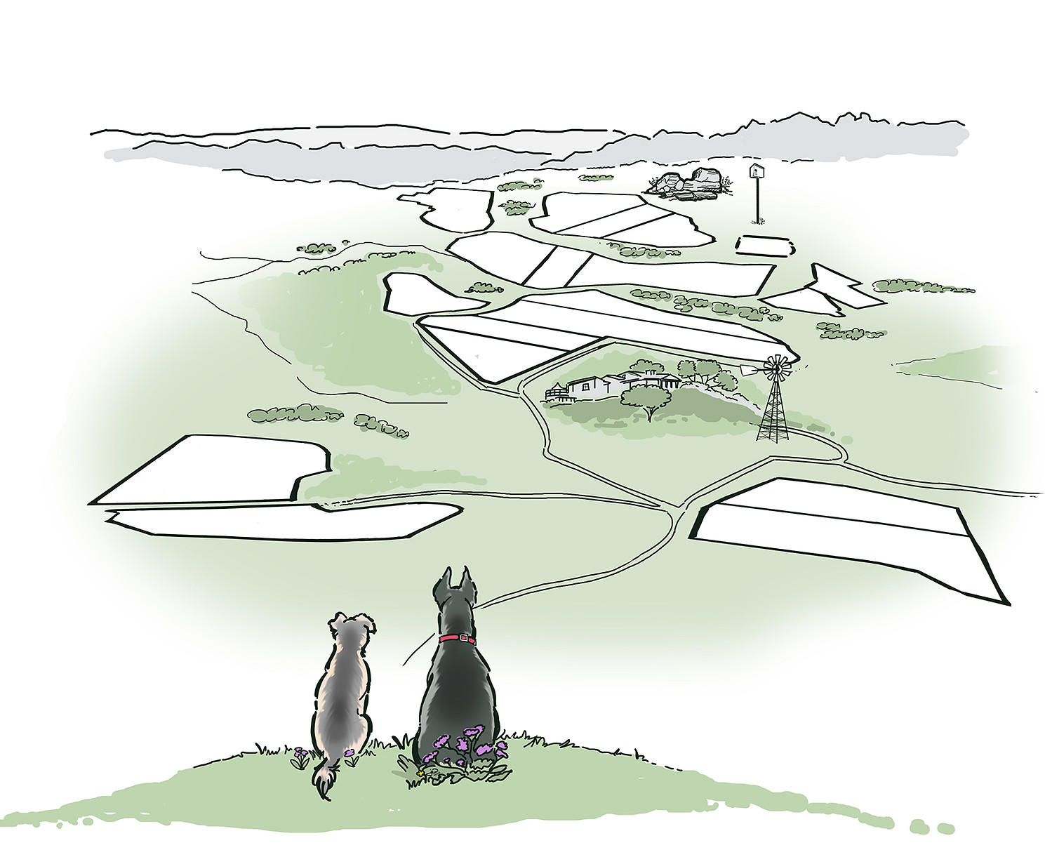 Chalone AVA Wine Grapes | Rodnick.farm