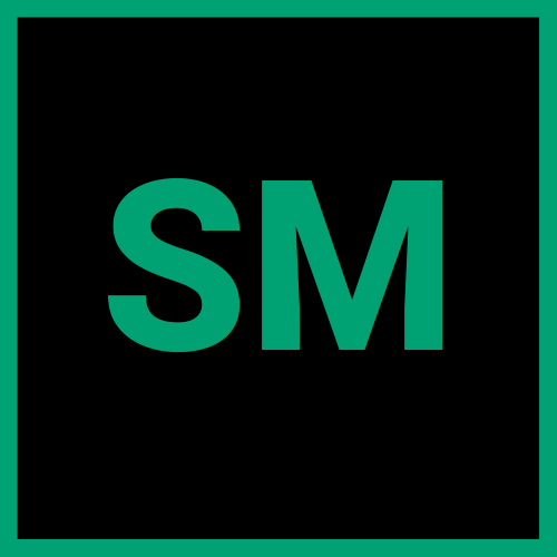 SINGLE MEMBER LLC TAX FILING | Tax USA Inc.