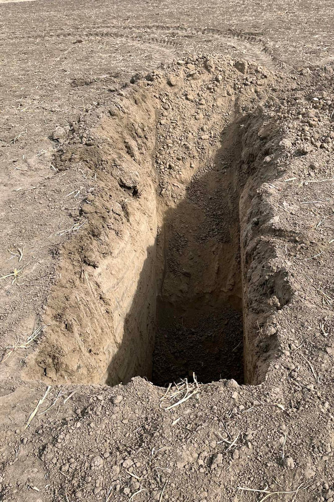 What Is a Septic Perc Test, and Why Do You Need One?