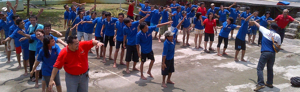 TANAL PAINT | Career