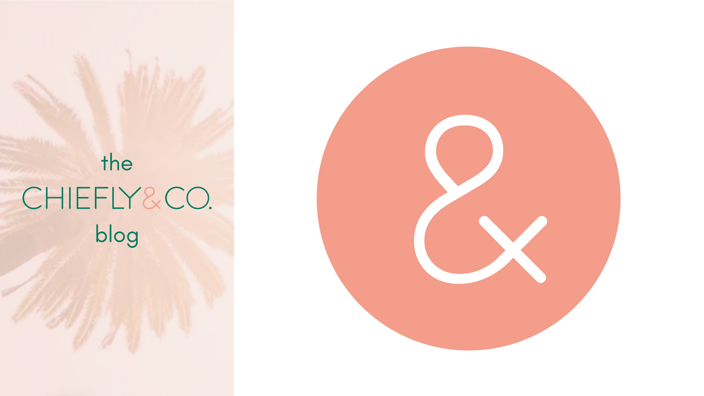 THE CHIEFLY & CO. BLOG | Insights on Balancing Planet & Profit