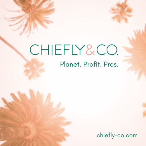 READY? | Chiefly & Co.