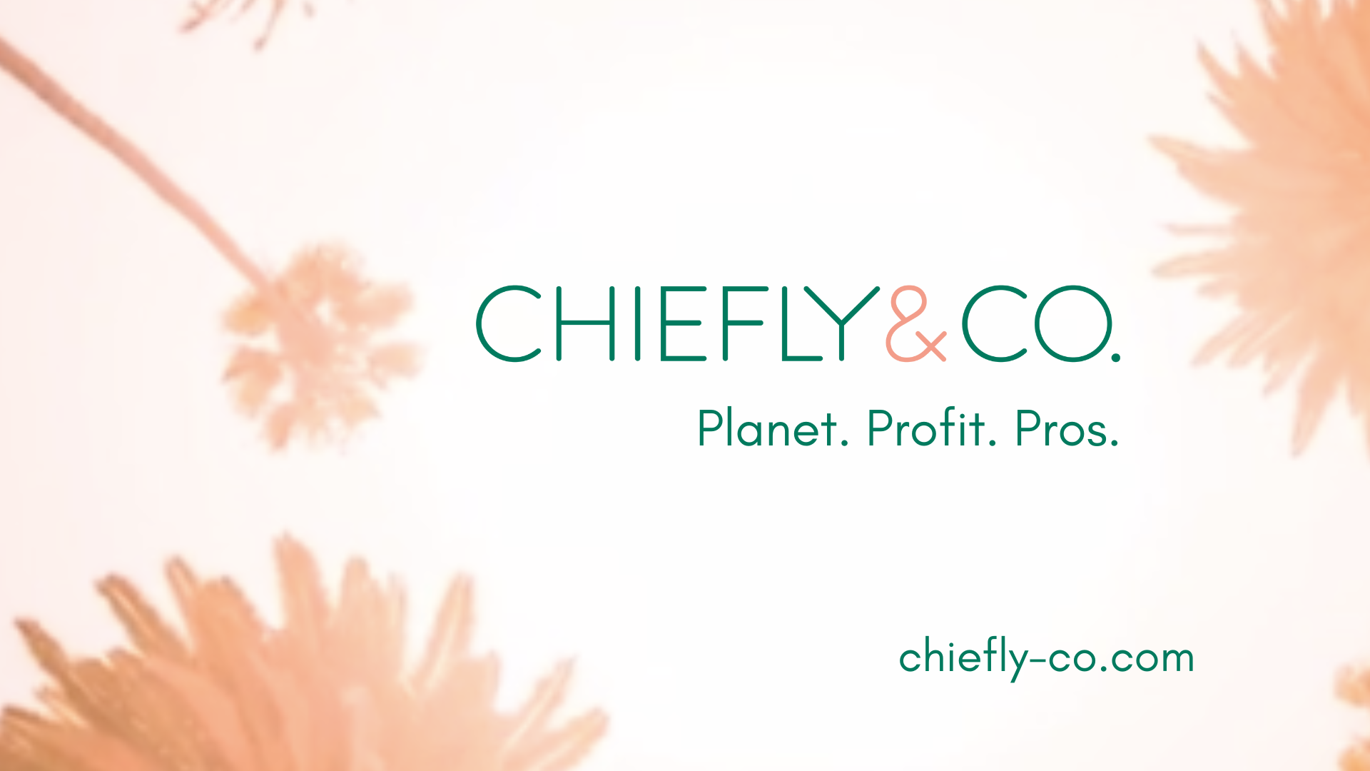 EXPERTS | CHIEFLY & CO. | Fractional Experts for Purpose-Driven Businesses