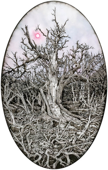 Remnants | Rachael Pease Artist