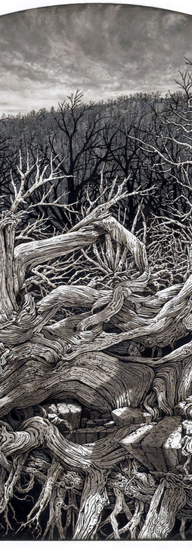 Methuselah | Rachael Pease Artist