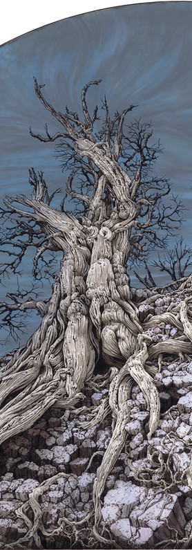 Methuselah | Rachael Pease Artist