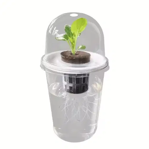 Smart Root Hydroponic Propagation Cup Sets |Urban Green Farms |Croydon ...