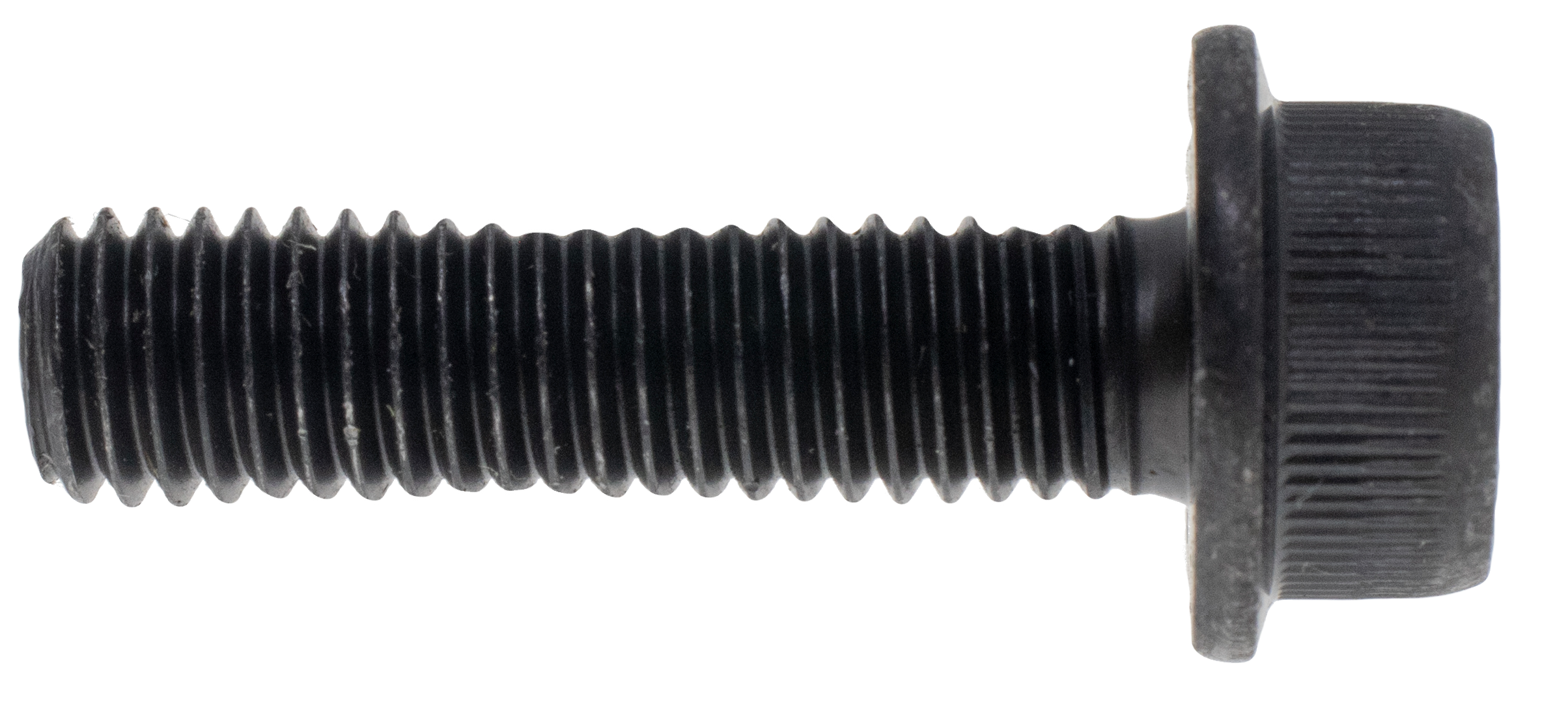 Socket Cap Screws with Flange0.01$0.01physical