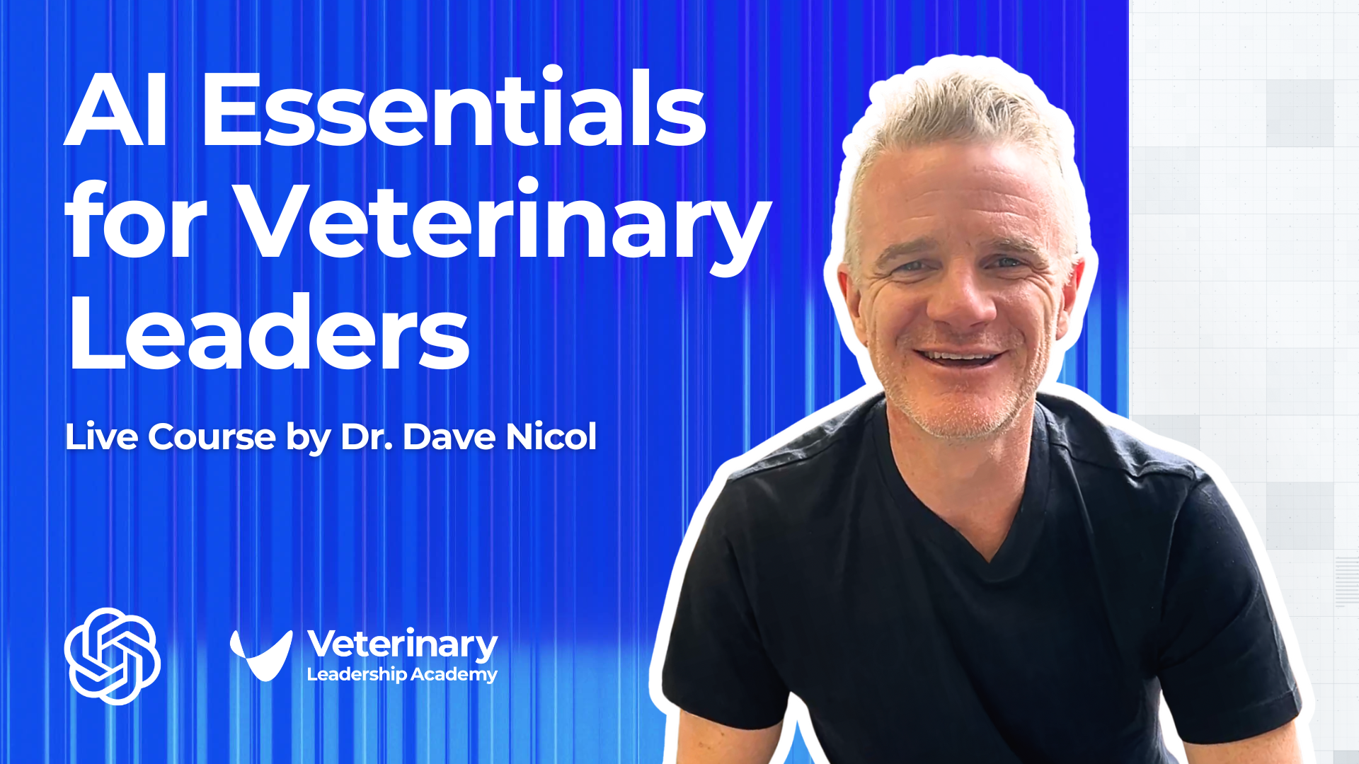 AI Essentials for Veterinary Leaders | drdavenicol.com