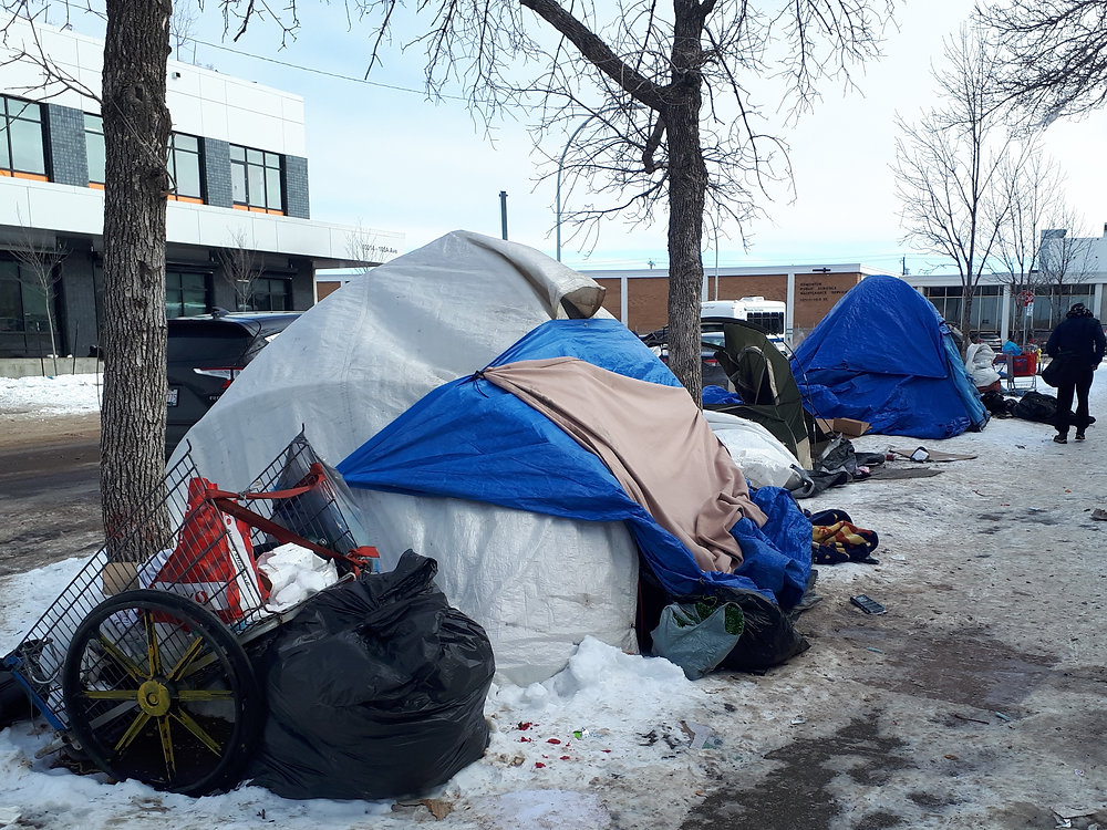 RESPONSE TO CITY OF EDMONTON'S HOMELESSNESS AND ENCAMPMENT RESPONSE ...