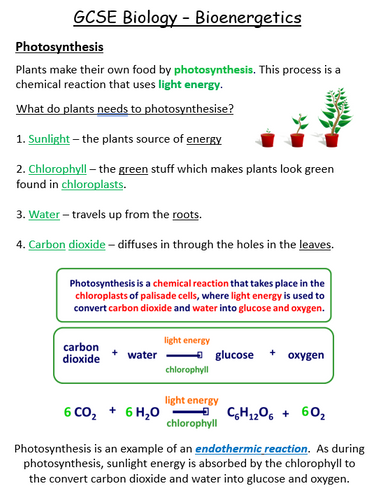 FREE Biology Revision/Home Learning Pack - Bioenergetics | Swyft resources
