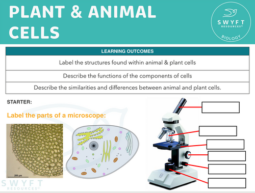 ANIMAL AND PLANT CELLS (CELLS) | Swyft resources