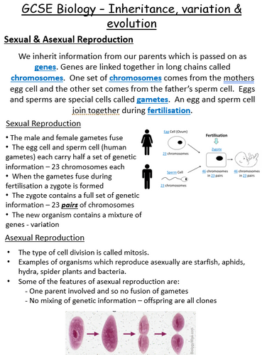 FREE Biology Revision/Home Learning Pack - Inheritance, variation ...
