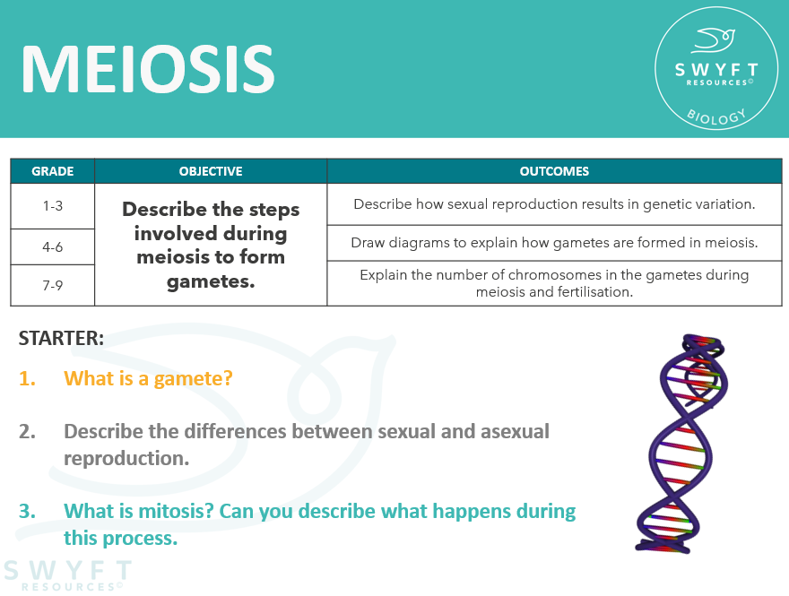 MEIOSIS - INHERITANCE, VARIATION & EVOLUTION | Swyft resources