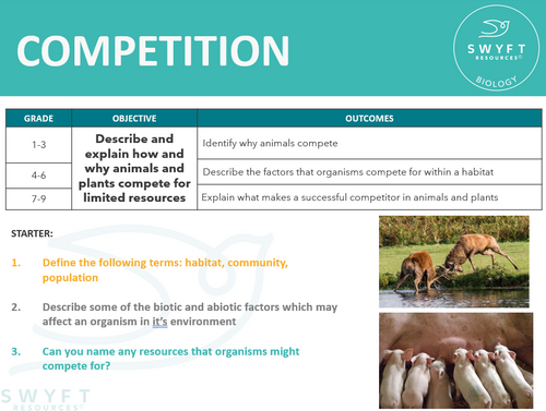 COMPETITION - ECOLOGY | Swyft resources