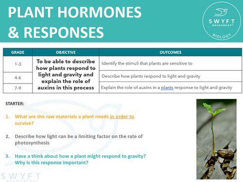 PLANT HORMONES & RESPONSES - HOMEOSTASIS | Swyft resources