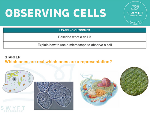 OBSERVING CELLS (CELLS) | Swyft resources