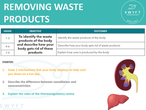 REMOVING WASTE PRODUCTS - HOMEOSTASIS | Swyft resources