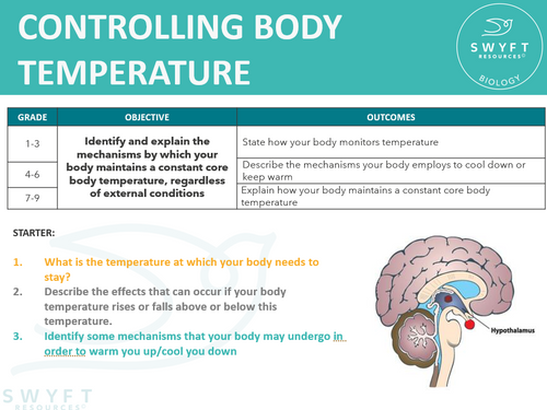 CONTROLLING BODY TEMPERATURE - HOMEOSTASIS | Swyft resources