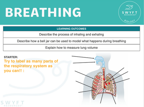 BREATHING (BODY SYSTEMS) | Swyft resources