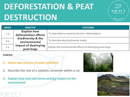 DEFORESTATION & PEAT DESTRUCTION - ECOLOGY | Swyft resources