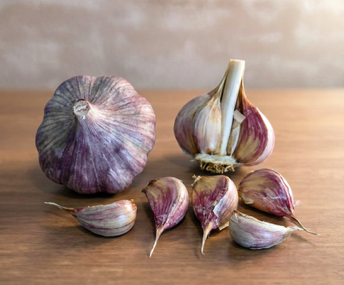 Persian Star | Catalina Garlic & Co.