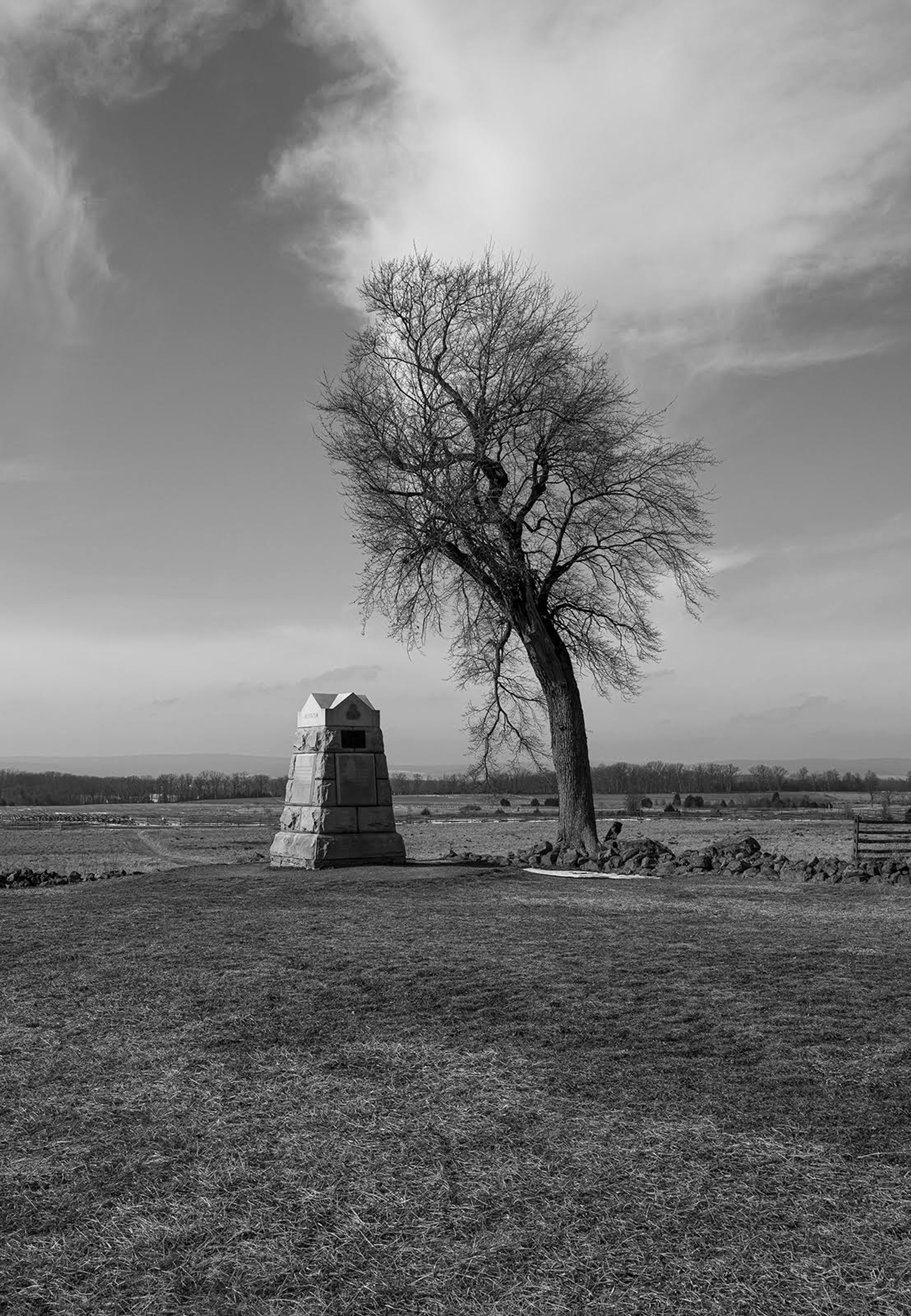 Steve Greenberg | Photoworks