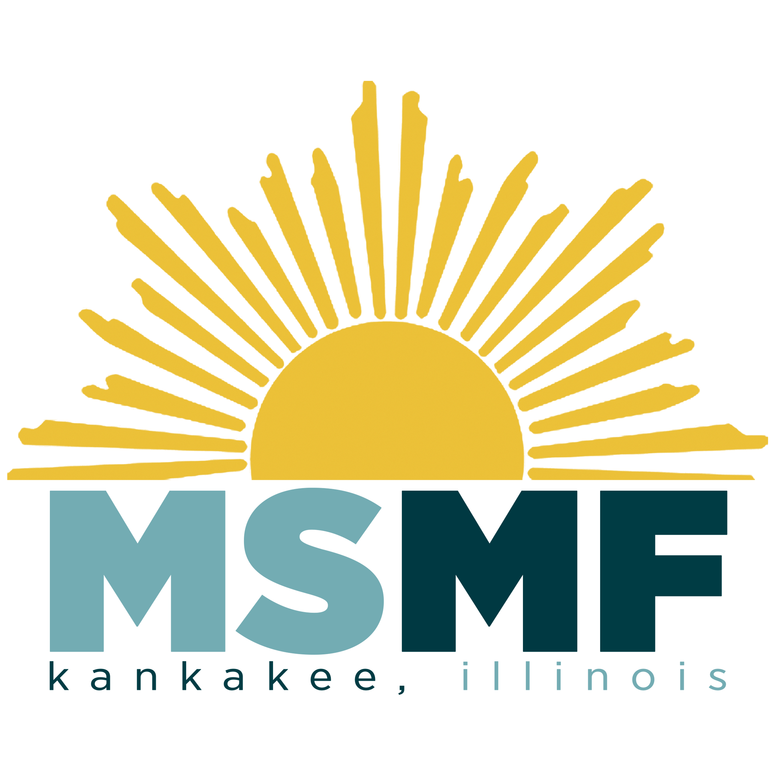 PLATFORM STAGE | msmf