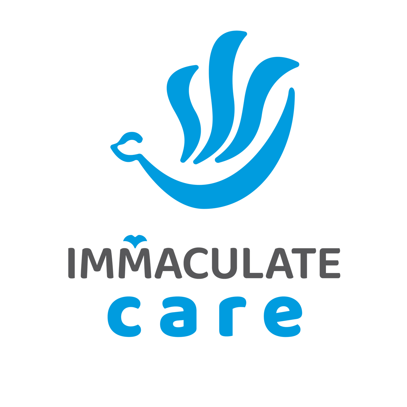 Services | Immaculate Care LLC