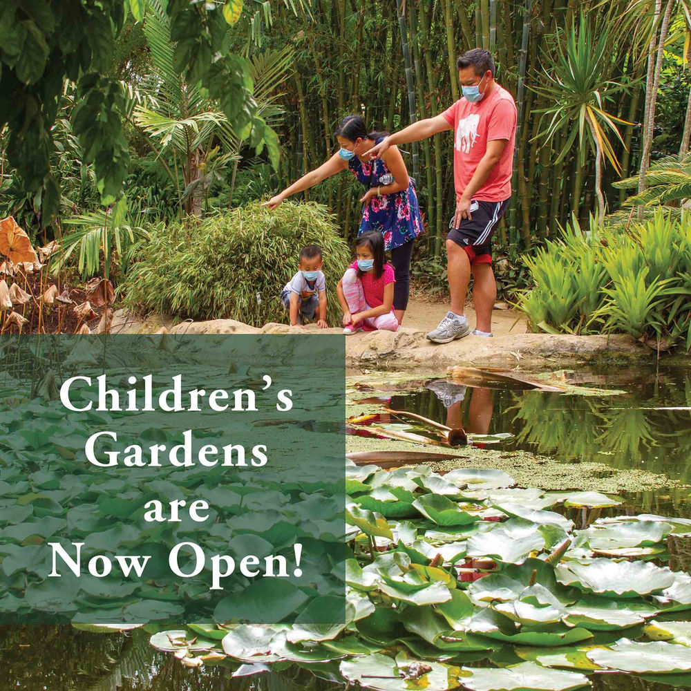 WHAT'S UP AT SDBG? SAN DIEGO BOTANIC GARDEN REOPENS POPULAR CHILDREN’S ...