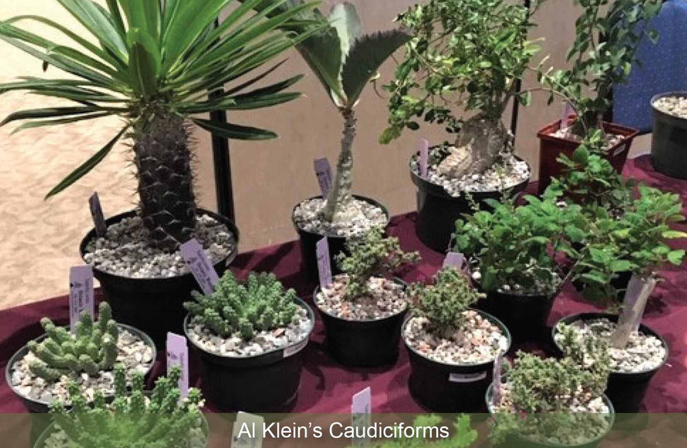 MEETING REPORT: Fat Plants.