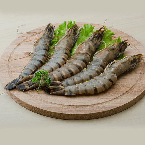 Black Tiger Prawn | KHUMSUB Food Trading