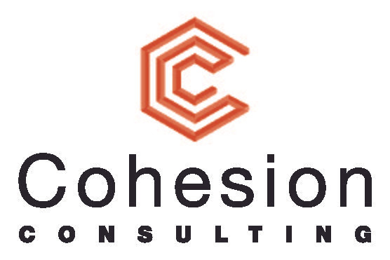 What We Do | Cohesion Consulting