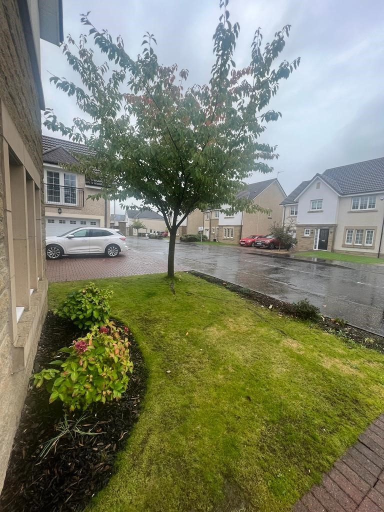 Old Kilpatrick West Dunbartonshire Tree Removal