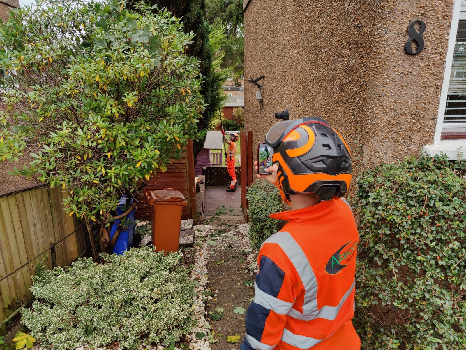 Knightswood Glasgow Tree Removal