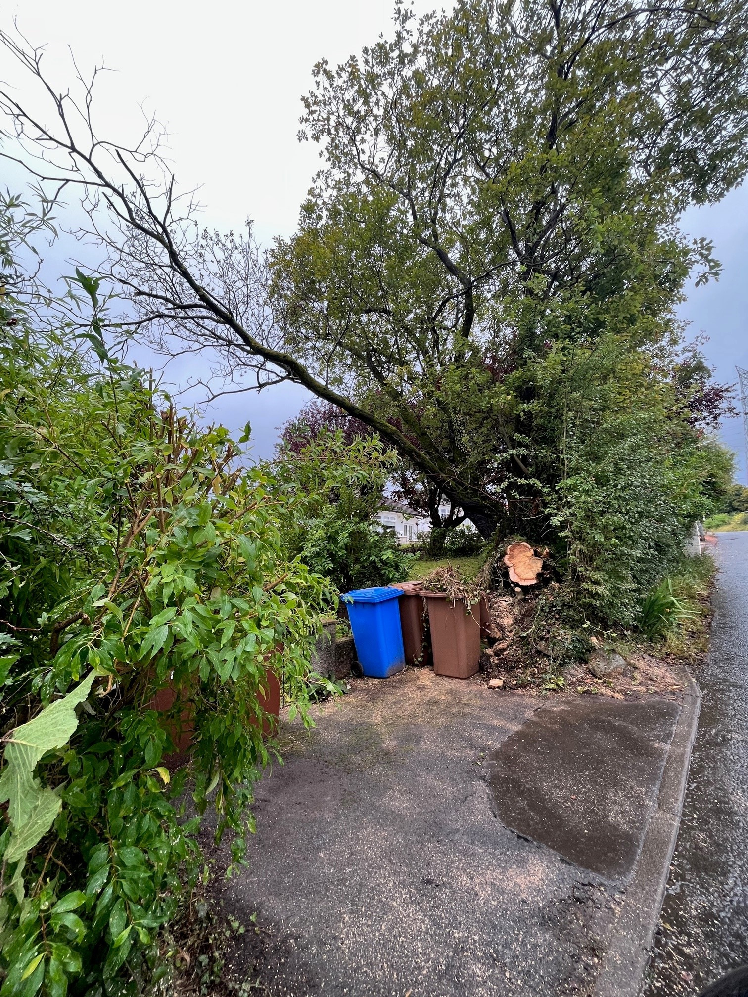 Cochno Road Duntocher