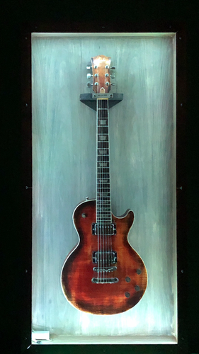 Guitar wall mounted display box | mljackie