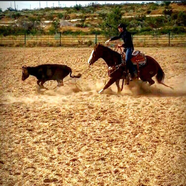 INTERVIEW WITH A TEAM ROPER