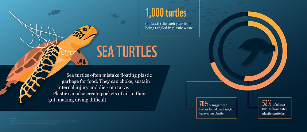 The true effects of plastic on sea turtles