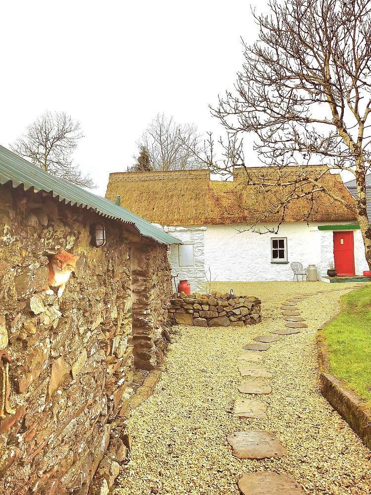 The Irish stone shed