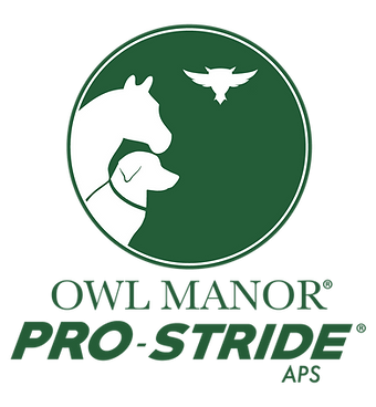 Regenerative Medicine | Jacksonville Equine